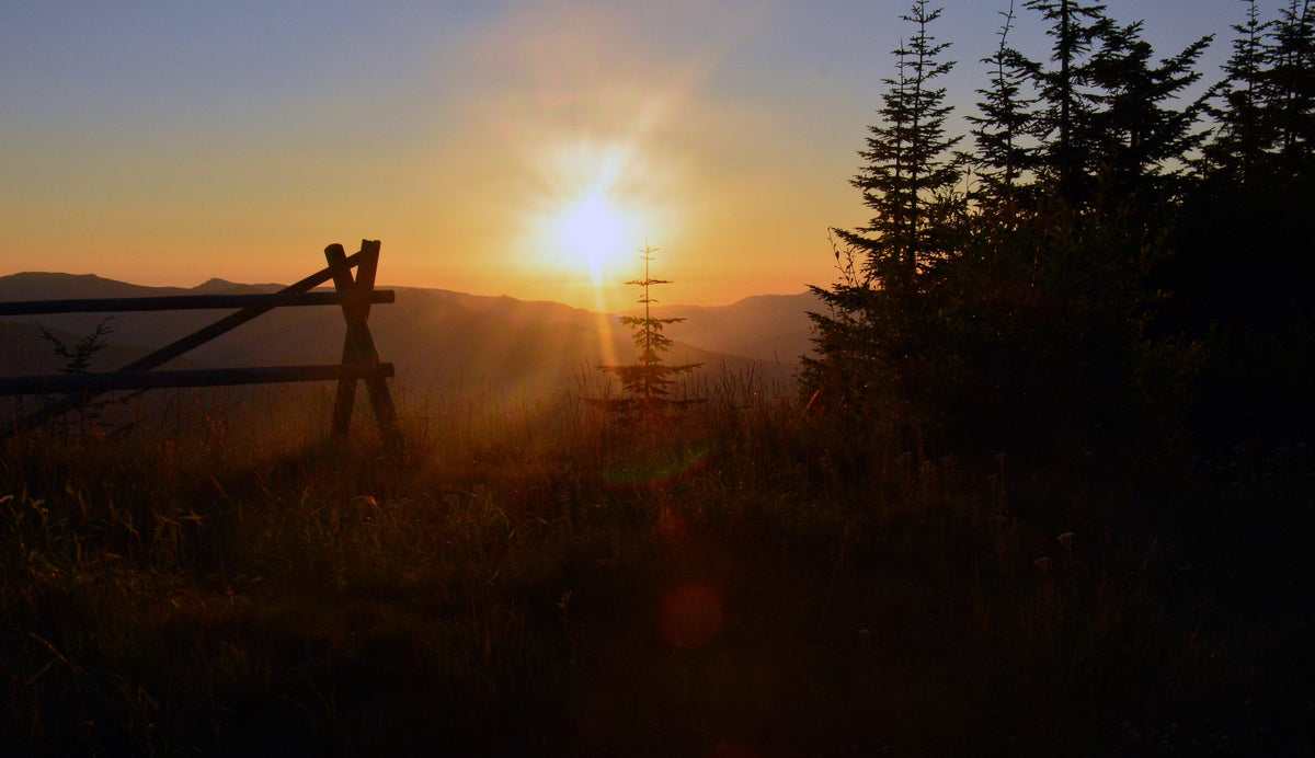 Full Catalog Inventory | Jess Alice | Artwork | Clothing | Home Goods