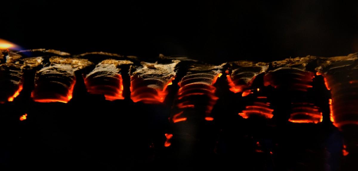 Spine – Jess Alice