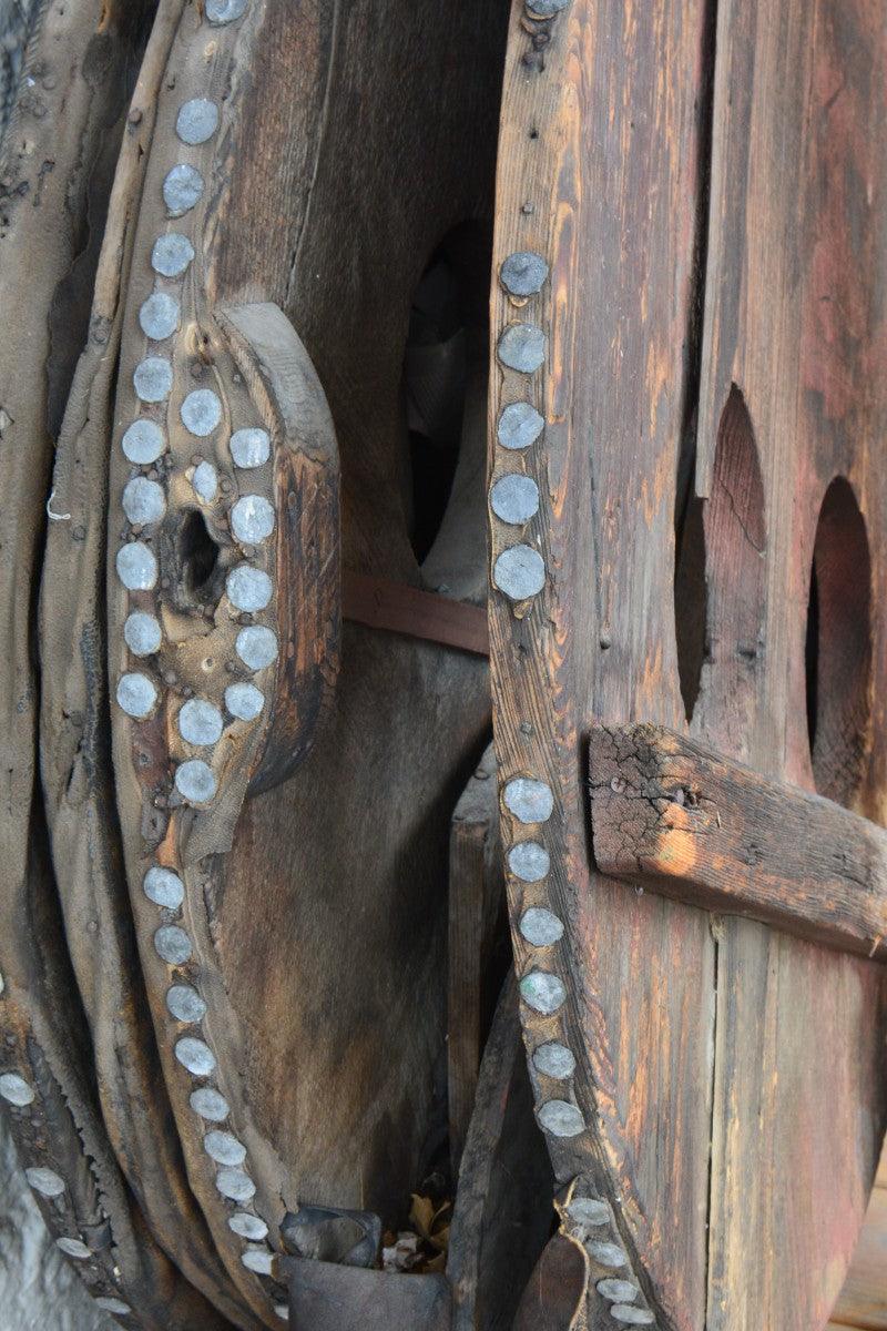 "Bellow" Photograph | Artist Jess Alice