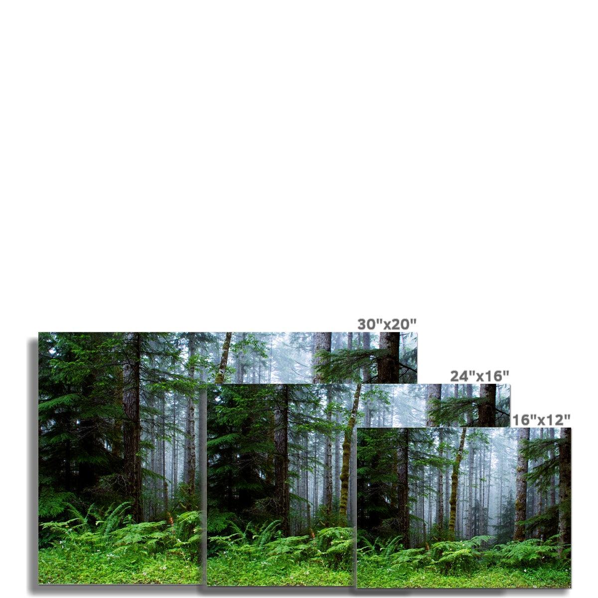 Fine Art Print | "Oregon Mist" Landscape Photography | Artist Jess Ali ...